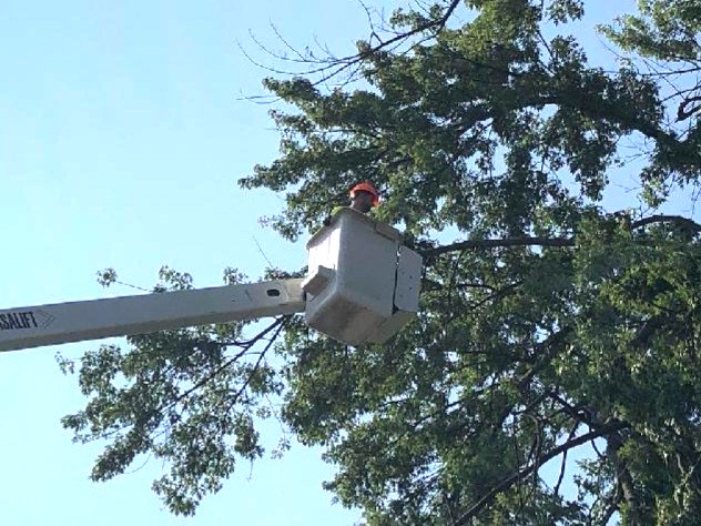 DPW praised for storm effort | News, Sports, Jobs - Observer Today